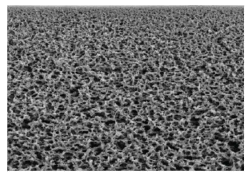 Virus Removal filter - Gripharma