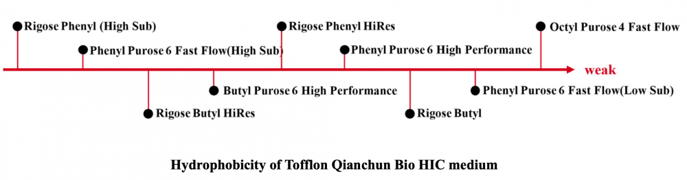 Hydrophobic Interaction Chromatography - Gripharma